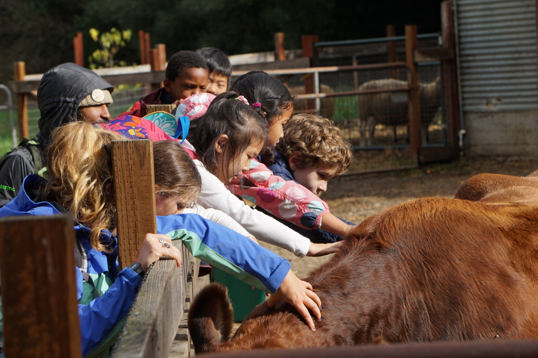 Catalog - Hidden Villa